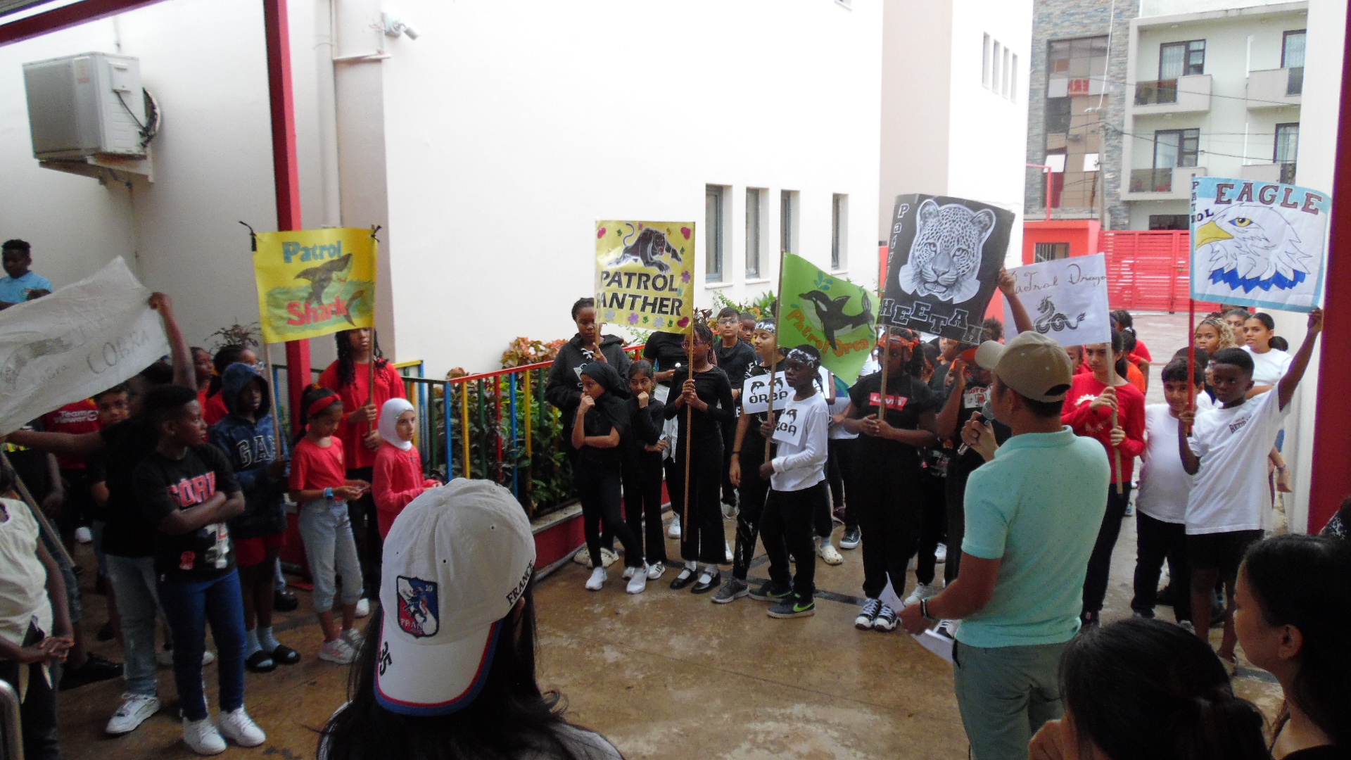 team cheetah and eagle